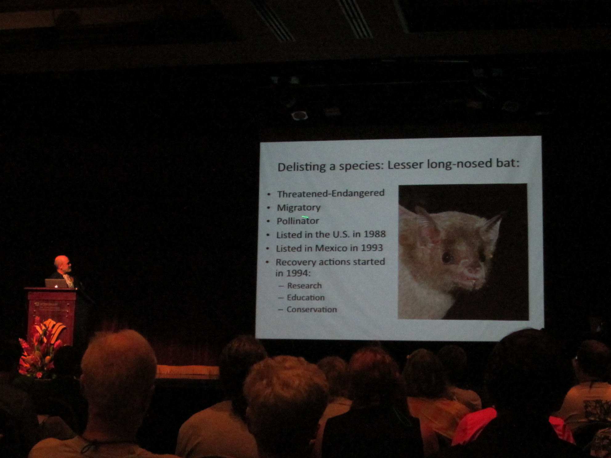 What happens at a bat conference… – Pia Lentini